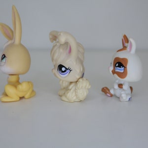 Hasbro Littlest Pet Shop LPS Your Choice of Pet: Rabbit 285, Angora ...
