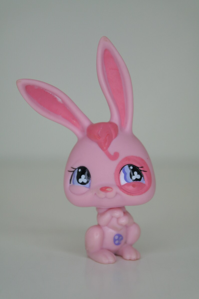 Hasbro Littlest Pet Shop LPS Your Choice of Pet: 500 - Etsy