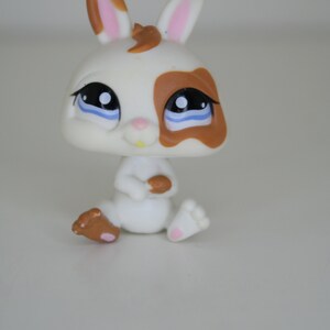 Hasbro Littlest Pet Shop LPS Your Choice of Pet: Rabbit 285, Angora ...