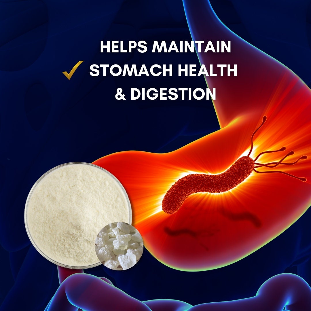 Chios Greek Mastic Gum Mastiha Masticha pistacia Lentiscus Powder FREE ...