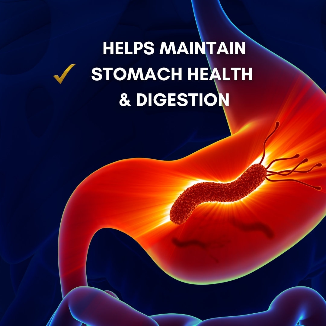 Chios Mastic Gum Mastiha Masticha (pistacia Lentiscus) - Large Size ...