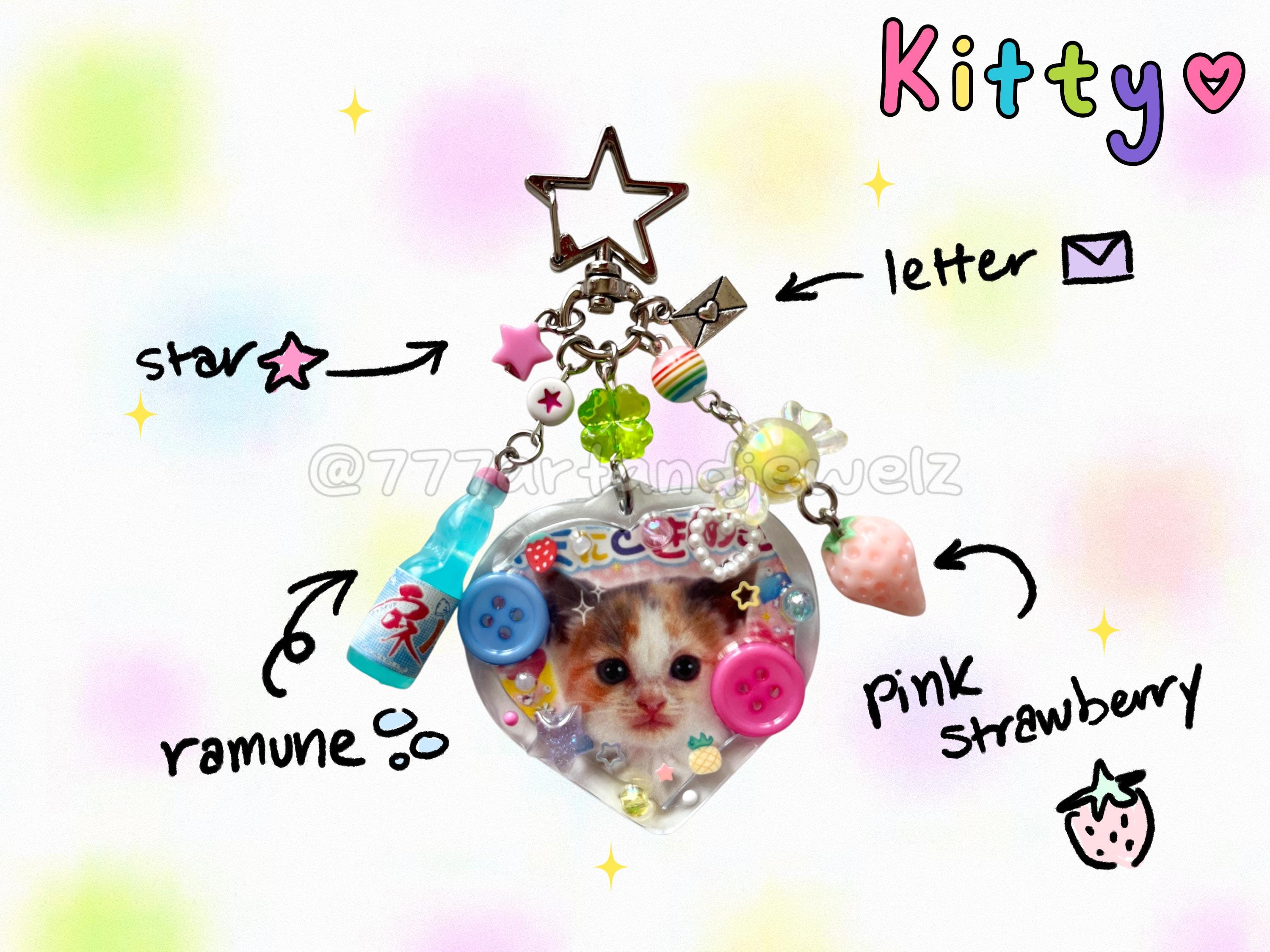 Colorful Heisei Retro Themed Dog and Cat Handmade Resin Deco Photo ...