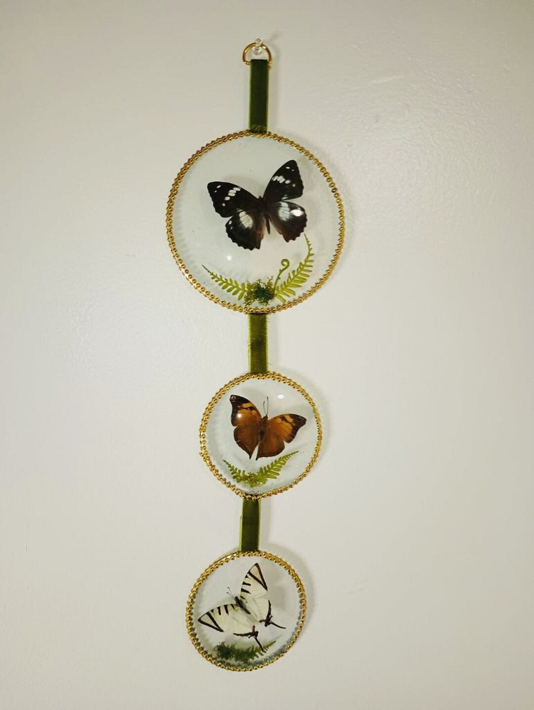 Vintage Inspired Encased Butterflies - Etsy