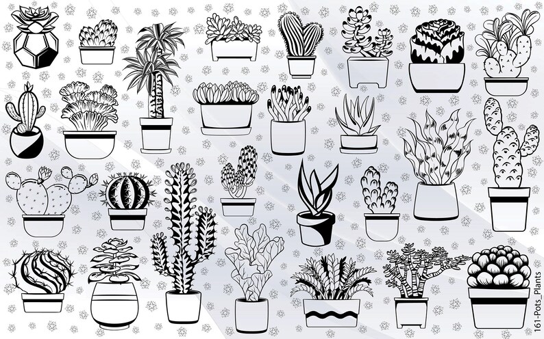 50 Pot Plant SVG, Pot Plant PNG, Pot Plant EPS, Pot Plant Vector, Pot ...