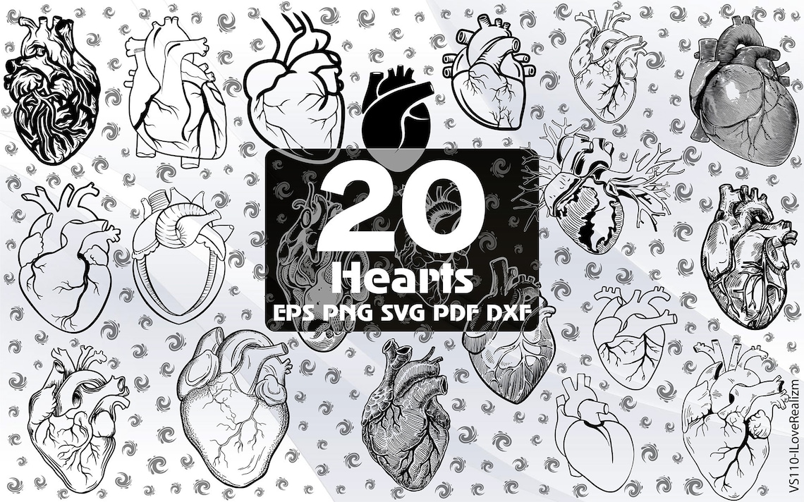 20 Realistic Heart SVG, Realistic Heart Cliparts, Realistic Heart PNG ...