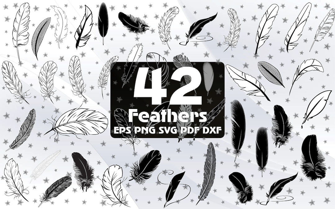 42 Feather SVG, Feather Clipart, Feather DXF, Feather Drawing, Feather ...
