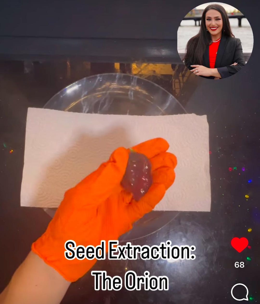 Garden Seeds, Homestead’s Hot Sauce Orion Pepper Seeds, Rare Pepper ...