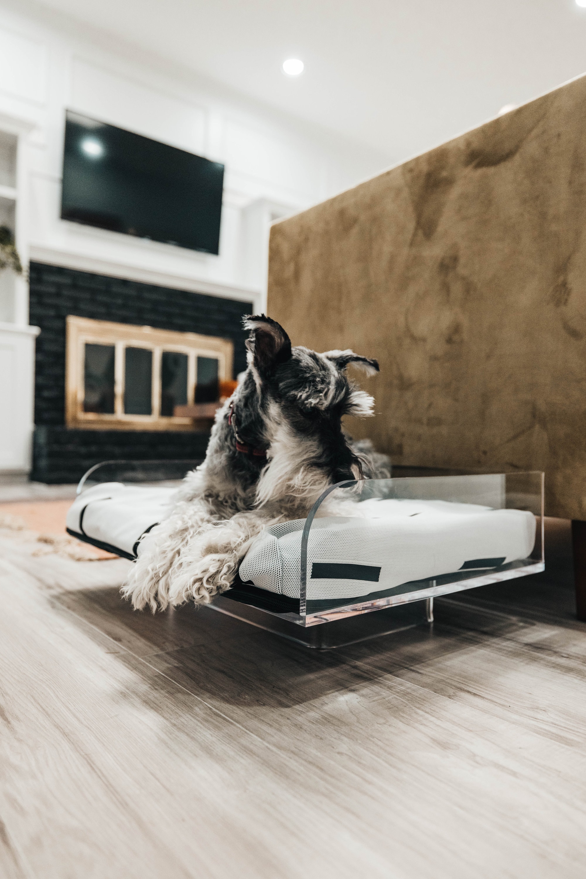 Bedside Platform Dog Bed