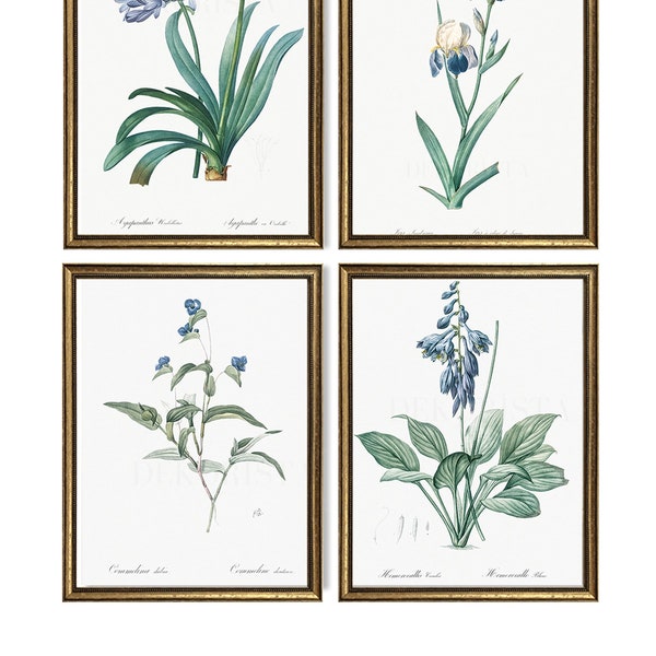 Framed Botanical Prints - Etsy