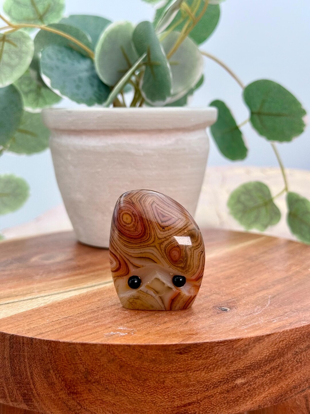 Polished Sardonyx Hedgie, Crystal Buddy, Pet Rock, Polished Labradorite ...