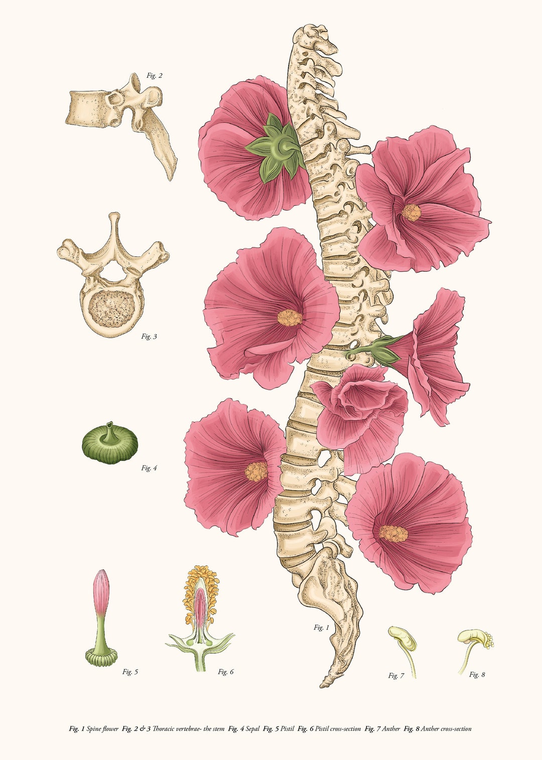 The Spine Flower Print - Etsy