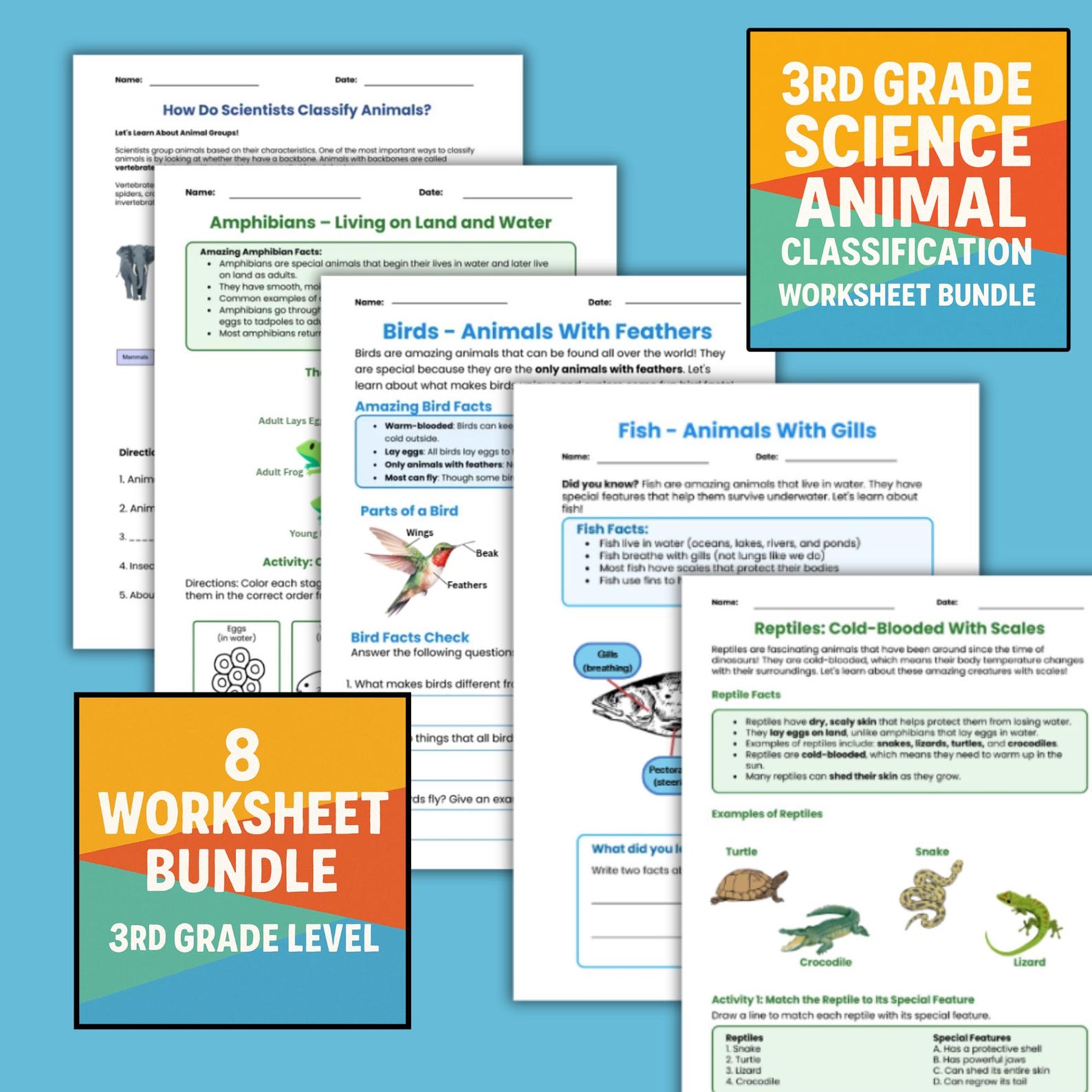 3rd Grade Animal Classification Worksheets PDF | Vertebrates ...