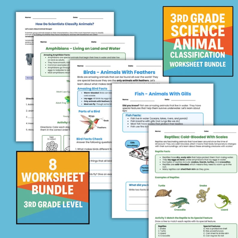 3rd Grade Animal Classification Worksheets PDF | Vertebrates ...