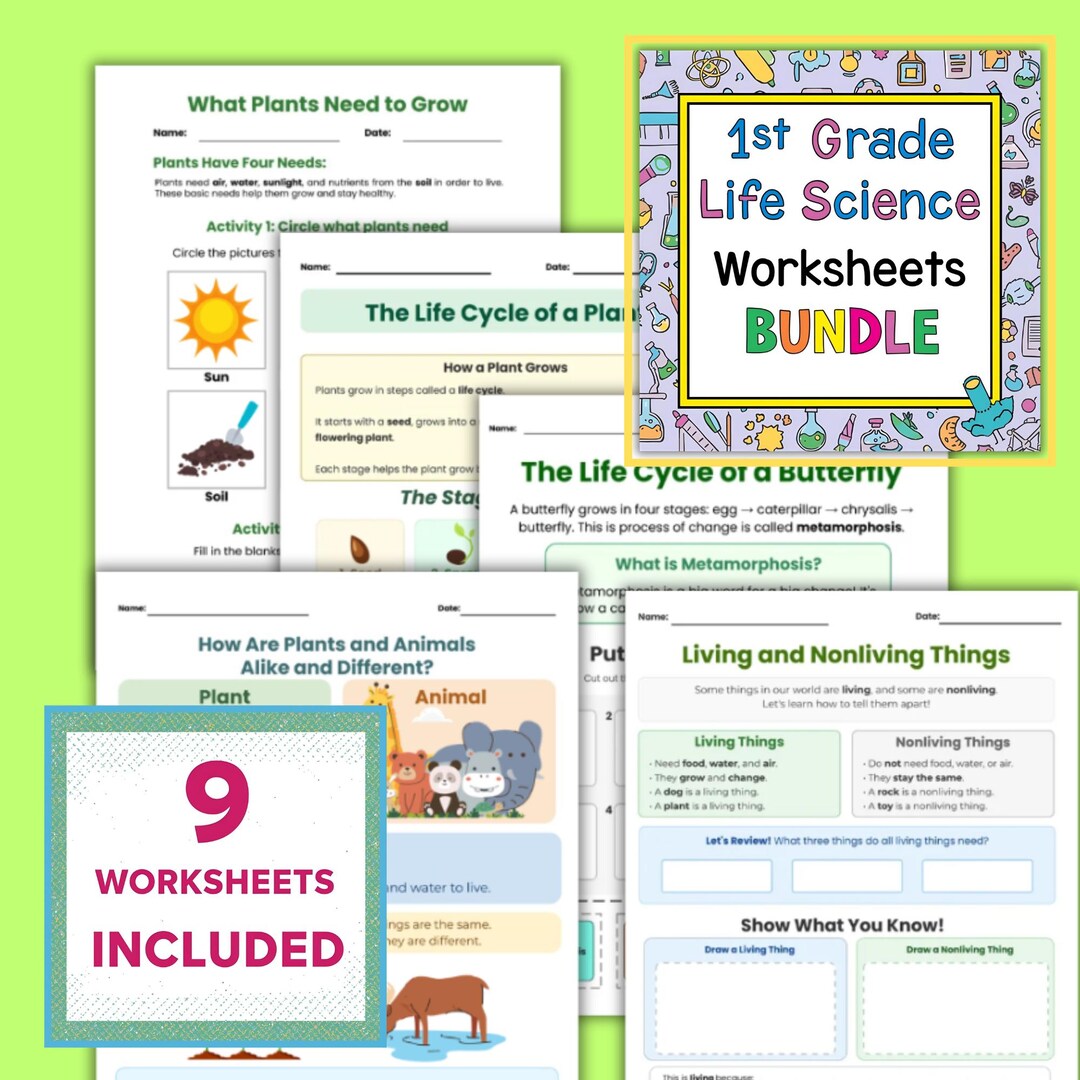 1st Grade Life Science Worksheets Bundle (9 Pages) | Plants & Animals ...