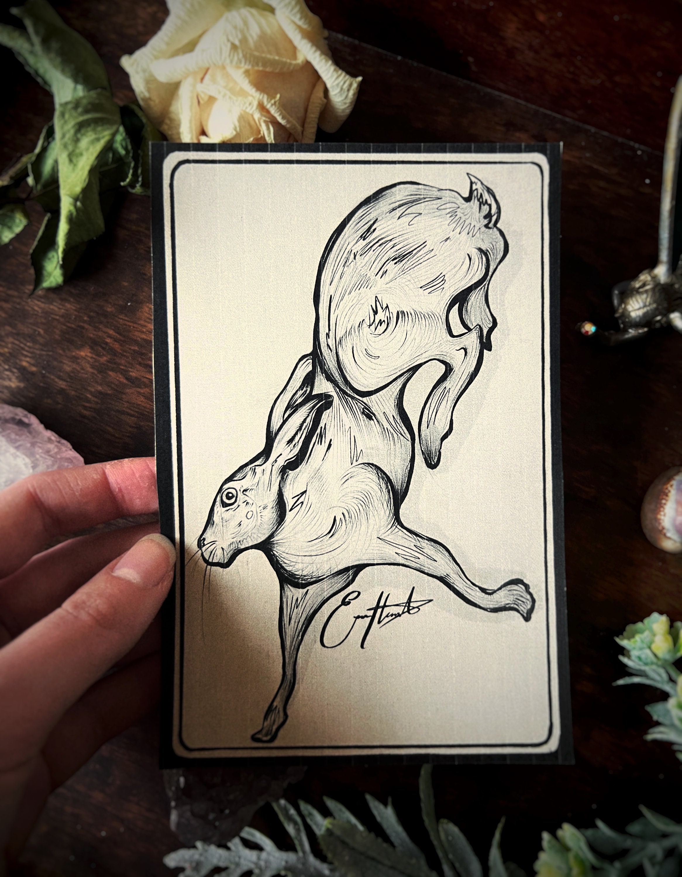 Jack the Rabbit Original Art Print, Linoleum Print, Fine Art Prints ...