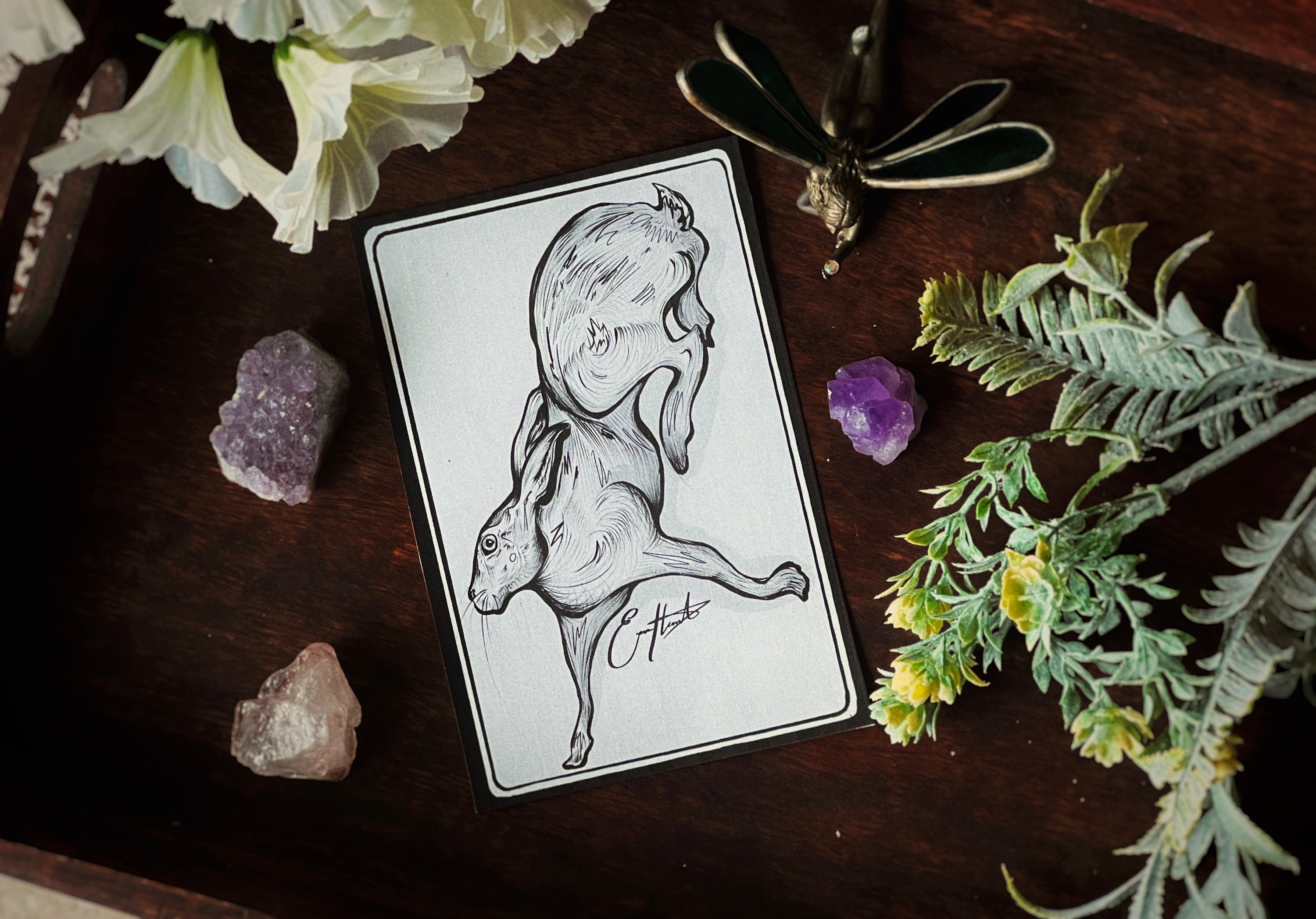 Jack the Rabbit Original Art Print, Linoleum Print, Fine Art Prints ...