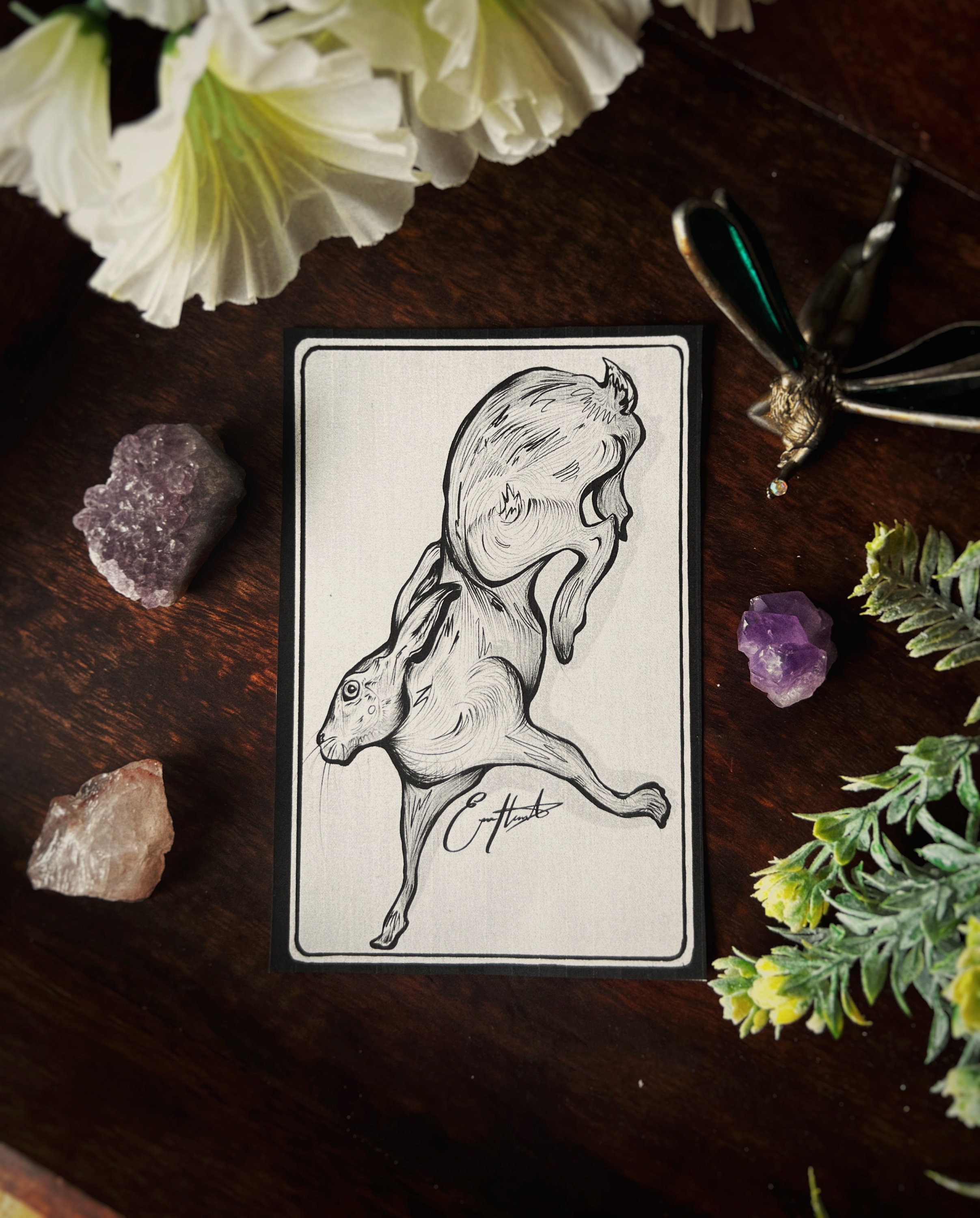 Jack the Rabbit Original Art Print, Linoleum Print, Fine Art Prints ...