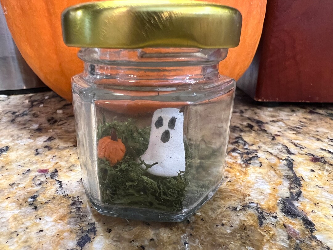 Mini Pet Ghost Pet Ghost in a Jar Adopt a Ghost Spooky - Etsy