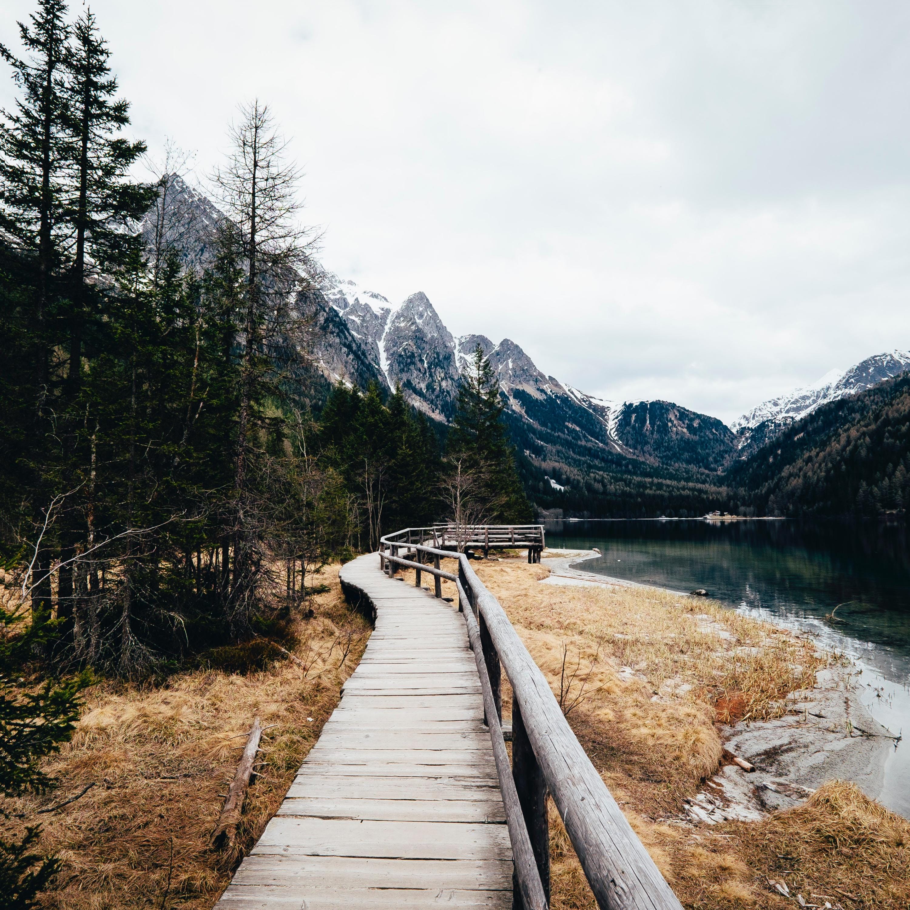 Calm Within Chaos: A Guided Meditation for Anxiety Relief - Etsy