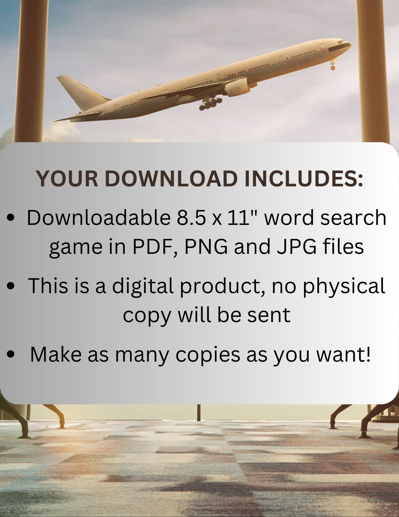 At the Airport Word Search Puzzle - Etsy Australia