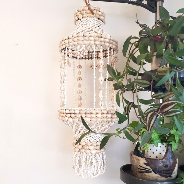 Seashell Chandelier - Etsy