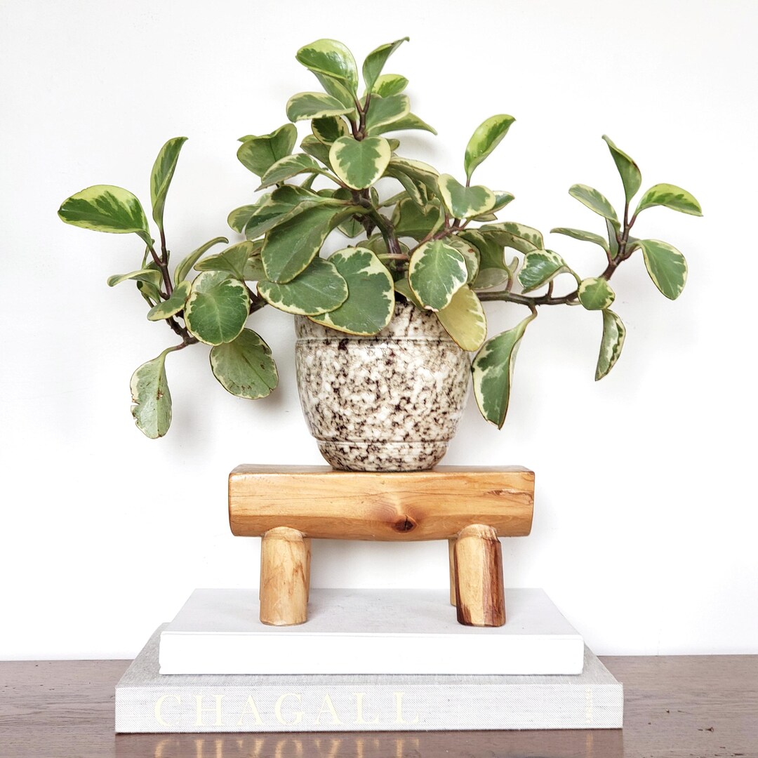 Small Rectangular Wooden Stool, Plant Stand, Vintage Handmade Stool ...
