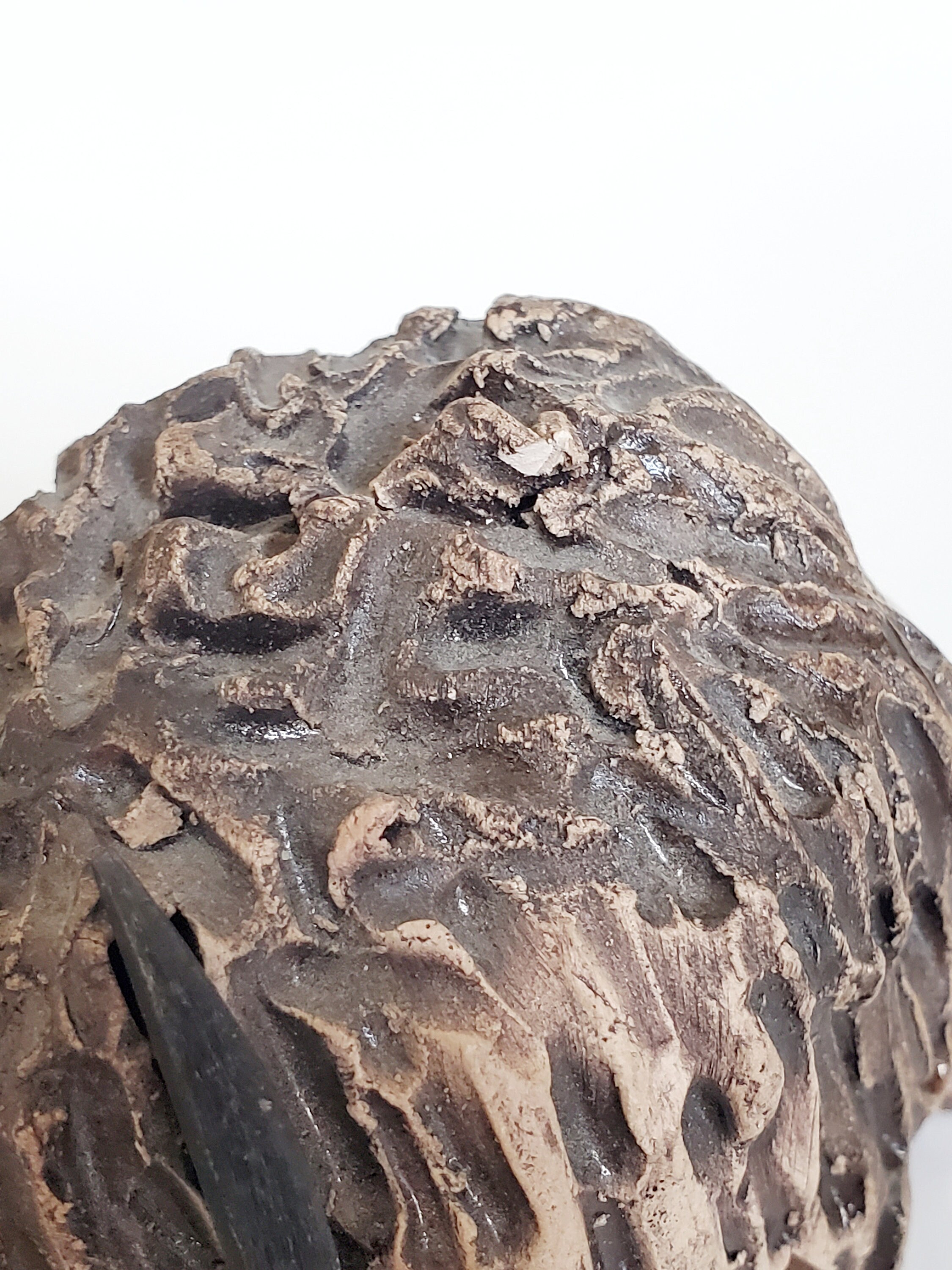 Artesania Rinconada Bison Figurine Carved Clay Buffalo - Etsy