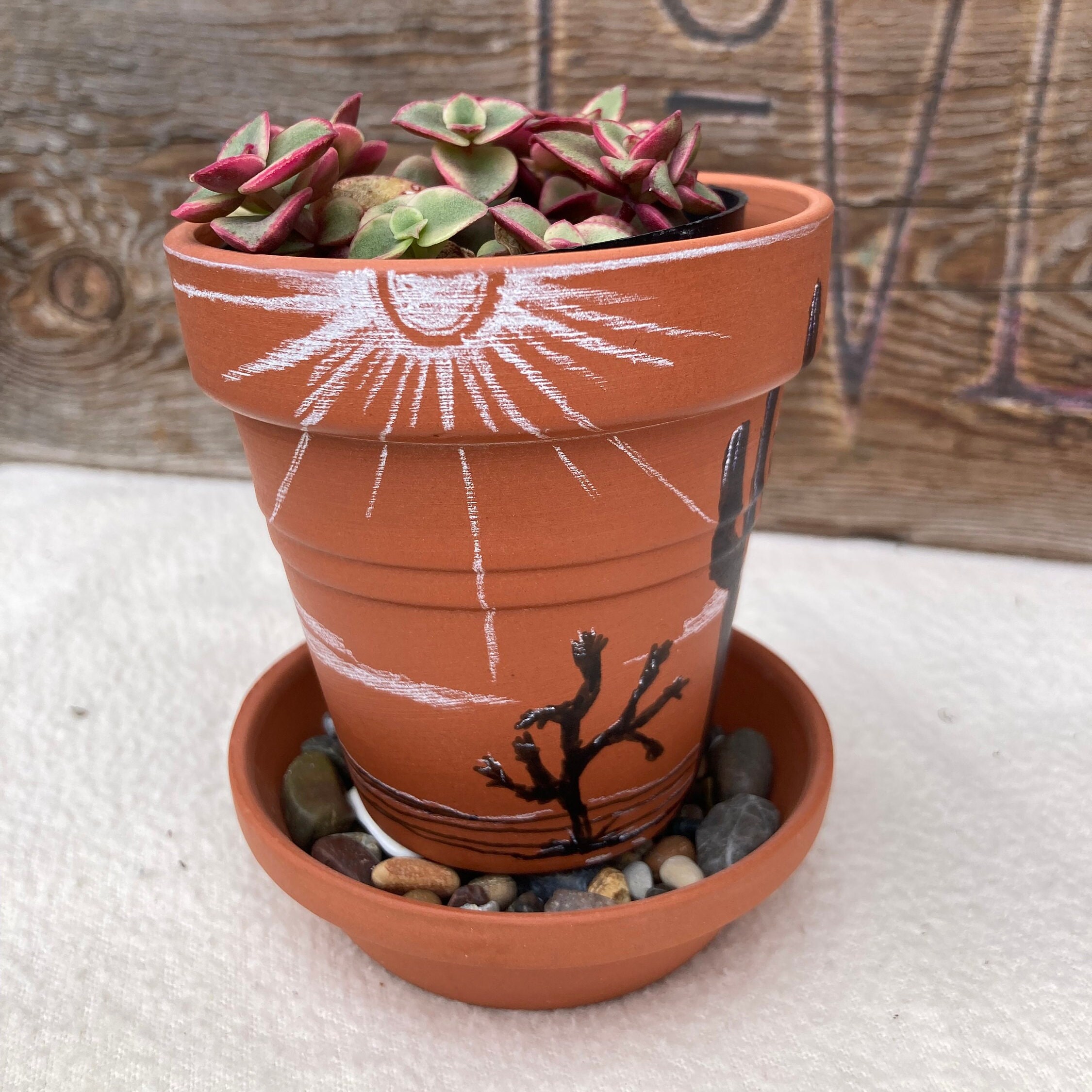 Hand Drawn Desert Scene Terra Cotta Pot Joshua Tree - Etsy
