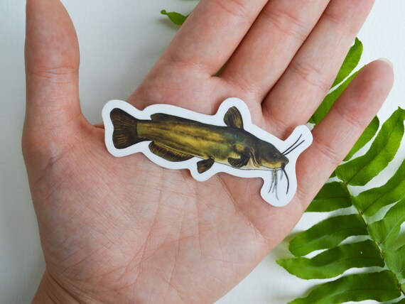 3 Catfish Sticker Waterproof Vinyl Fisherman Sticker - Etsy