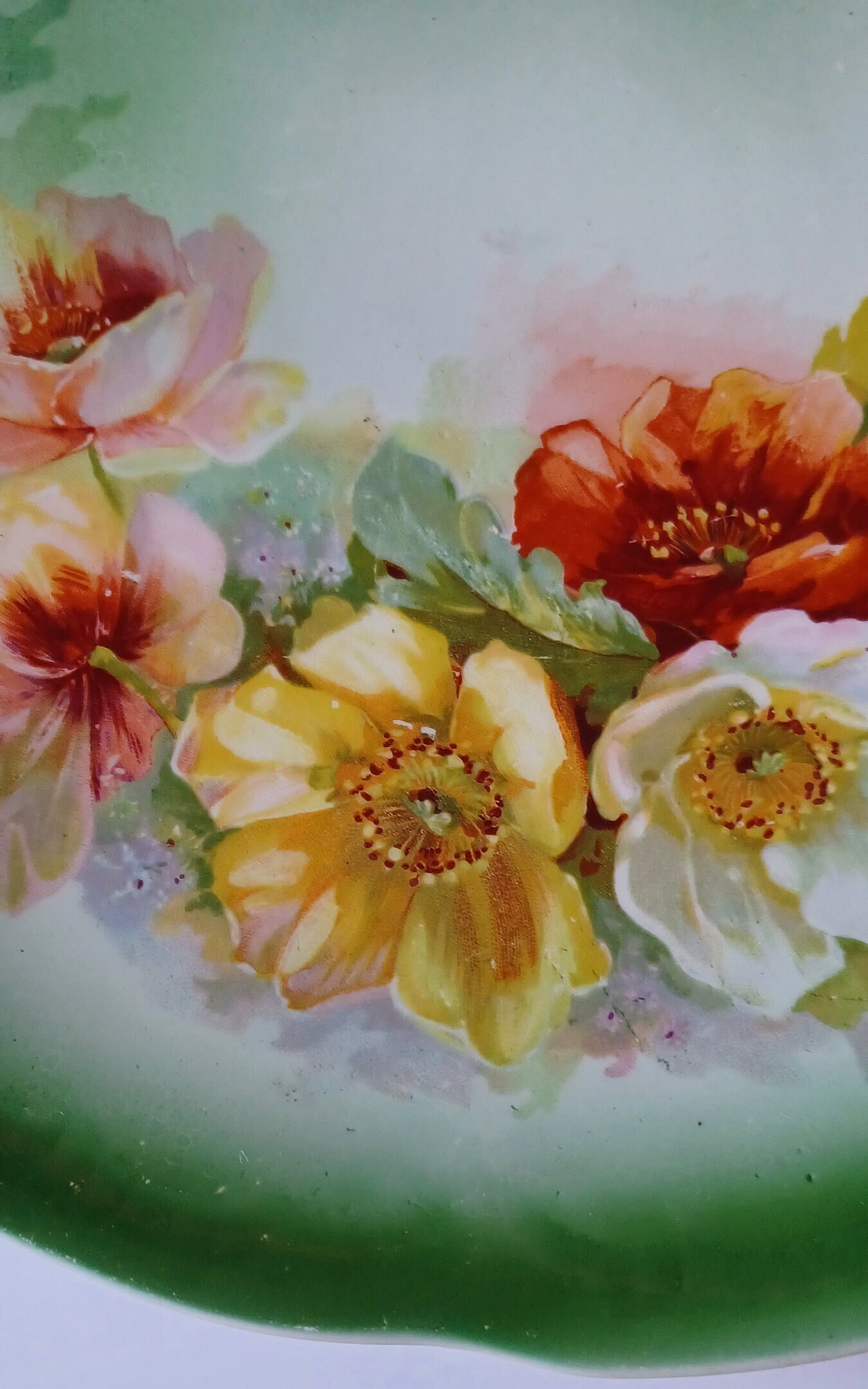 Antique TST Plate Green With Floral Pattern Hand Painted Ca - Etsy