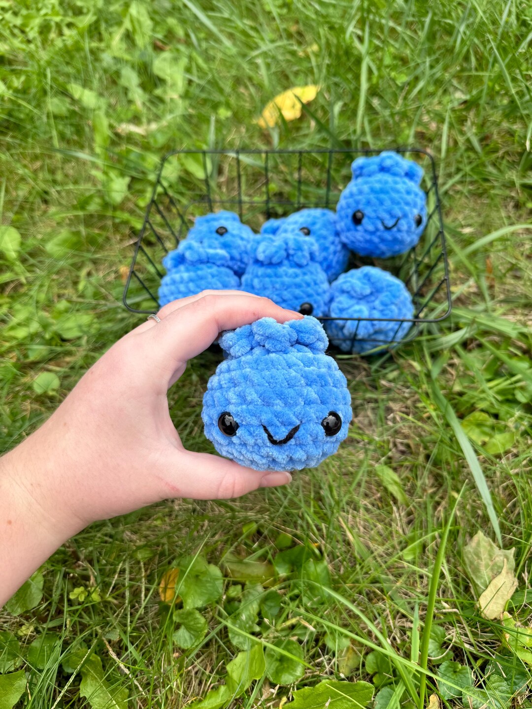 Adorable Crochet Blueberry - Etsy