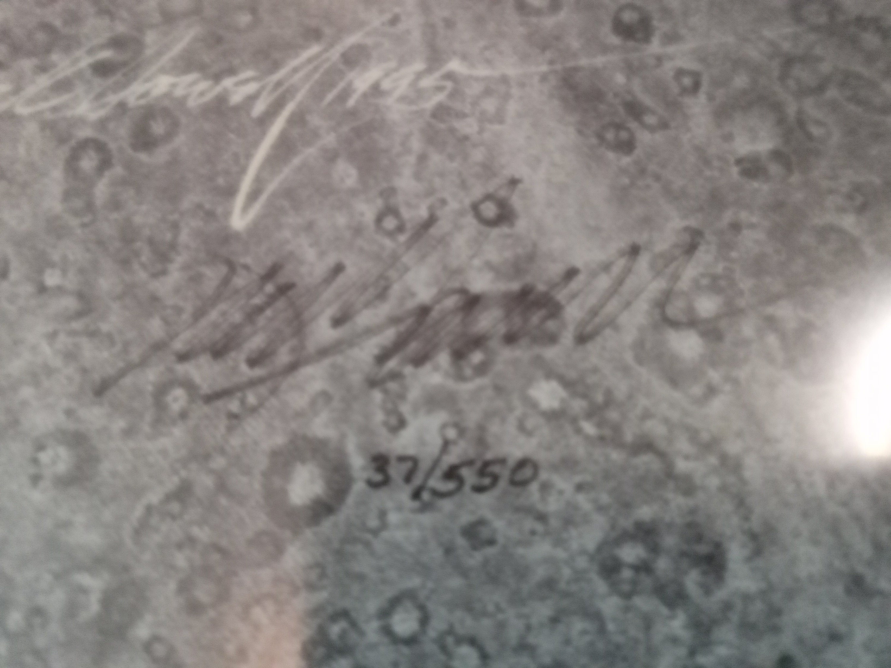 Frank Howell Signed Numbered canyon Echoes Lithograph 37/550 With COA ...