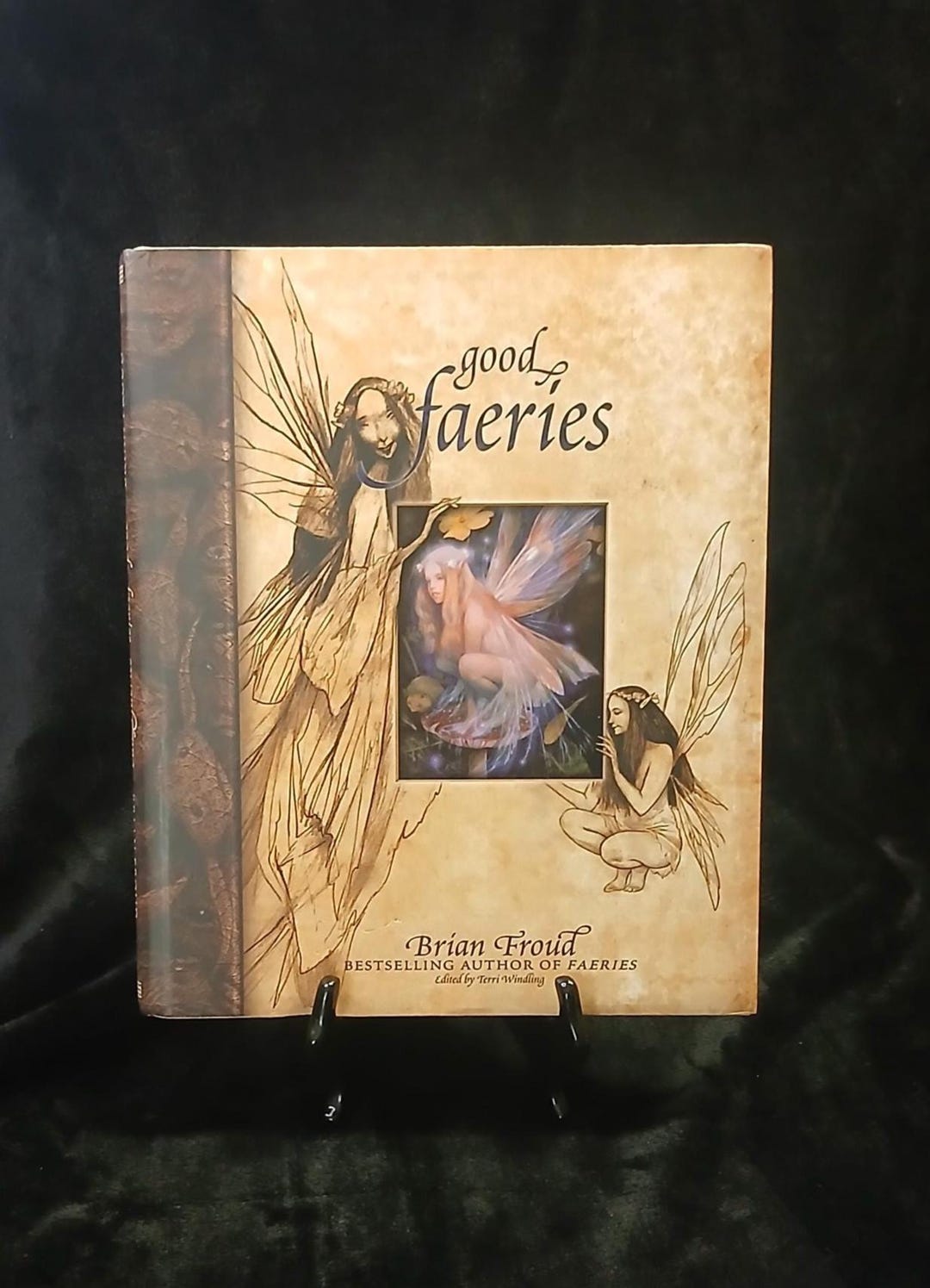 Good Faeries, Bad Faeries by Brian Froud ~ Large Coffee Table Art Book ...