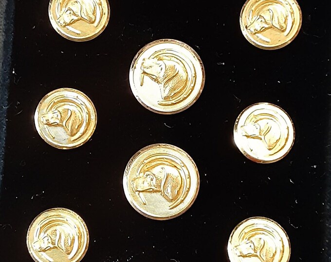 Waterbury Blazer or Jacket Button Set ~ Gold Tone Metal ~ Set of 10, 2 ...