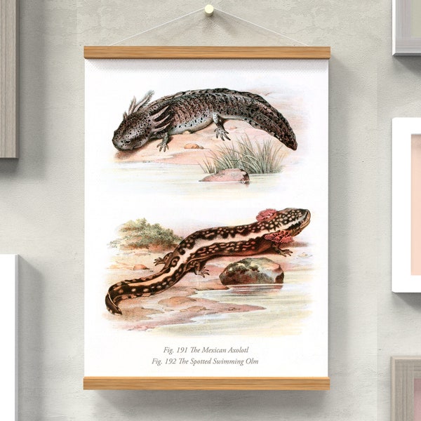 Biology Poster - Etsy
