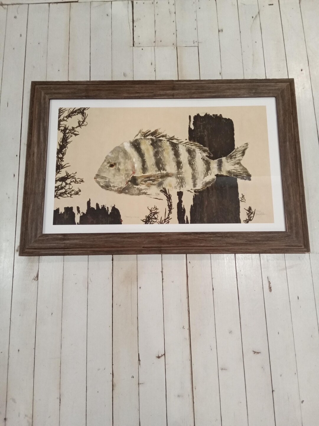 Wood Framed Print Picture of Sheepshead Fish, Wall Art - Etsy