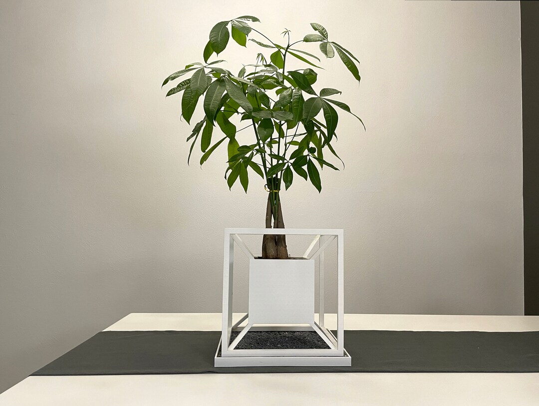 Tesseract: Cube Shaped Geometric Planter and Centerpiece. Modern ...