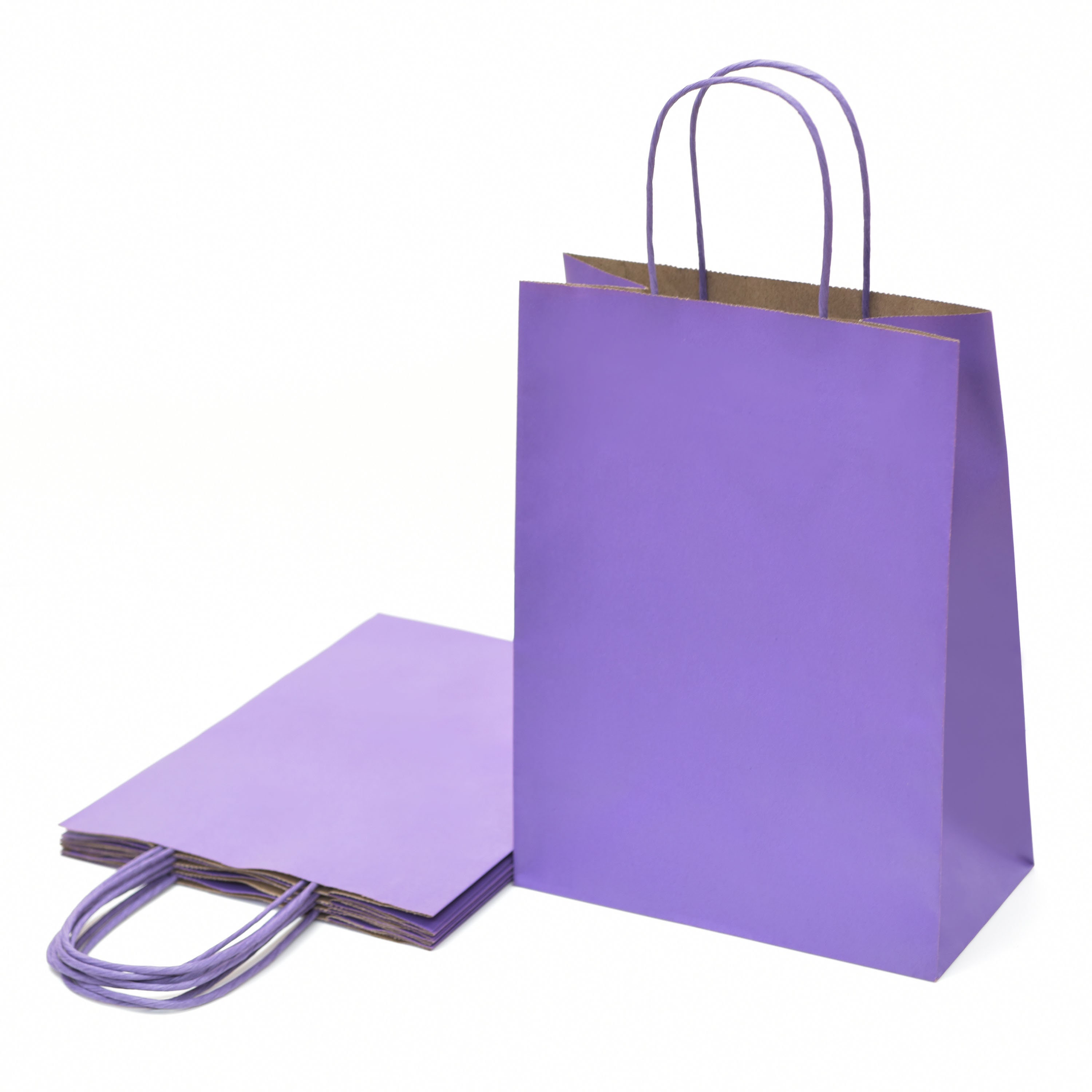 Purple Gift Bags: Small Gift Bags With Handle. Great for Christmas ...