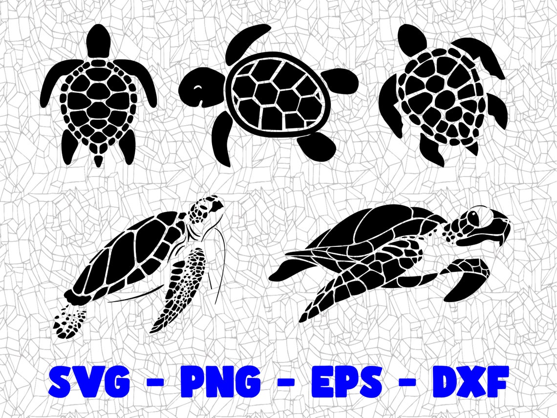 Sea Turtle SVG, Cutting File, Png Eps Dxf Digital Clipart, Great for ...