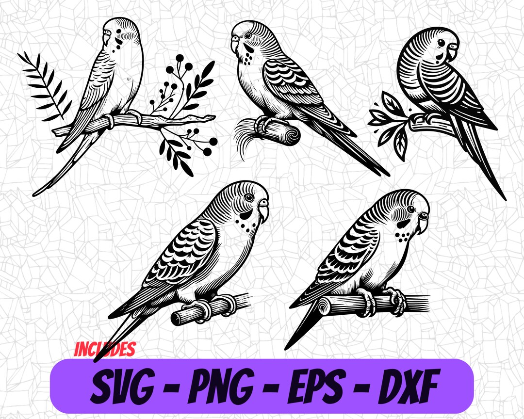 Parakeet Bird SVG Design, Cricut Cut Files, Dog Png Digital Clipart, T ...