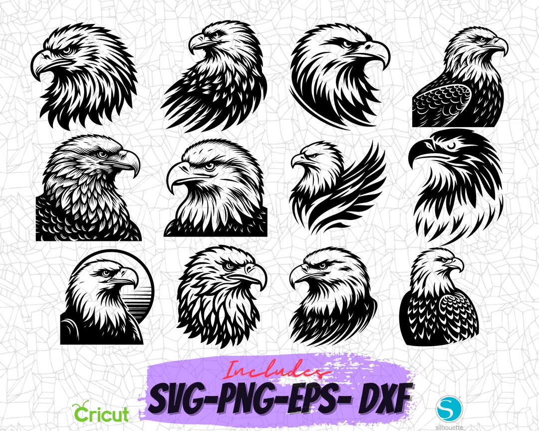 Bald Eagle PNG Design, Eagle Svg Clipart, Bird Vector, Dxf Design ...