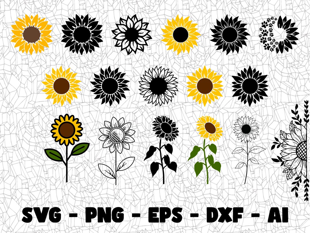 Sunflower SVG, Cutting File, Png Eps Ai Digital Clipart, Great for Viny ...