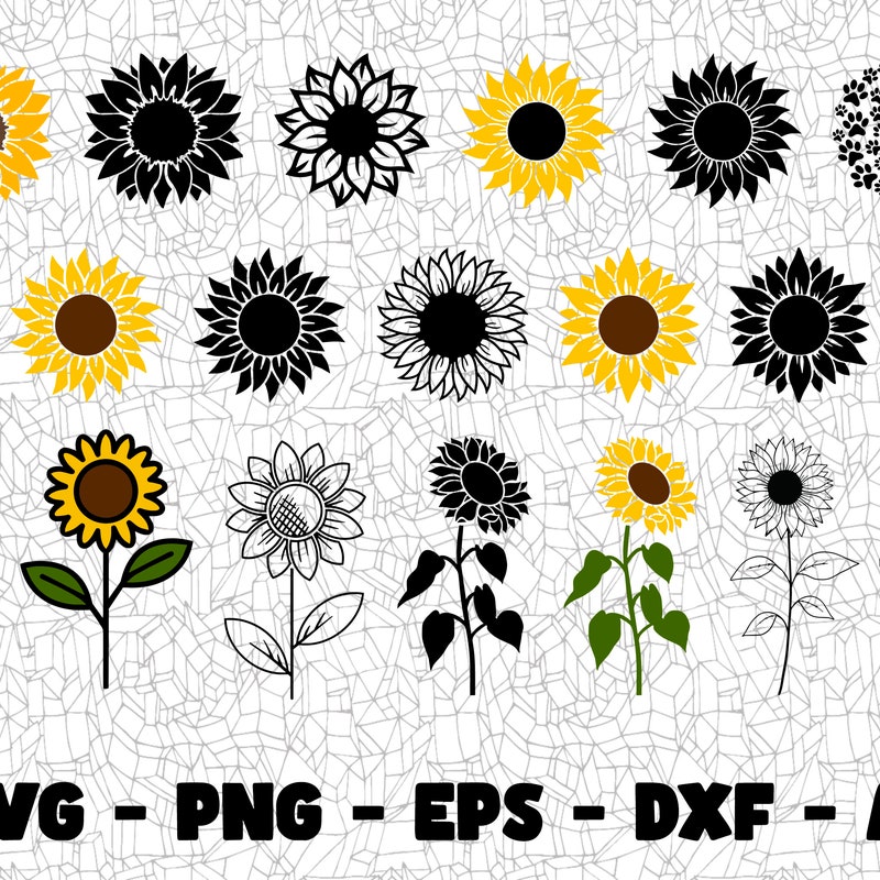 Sunflower Svg - Etsy