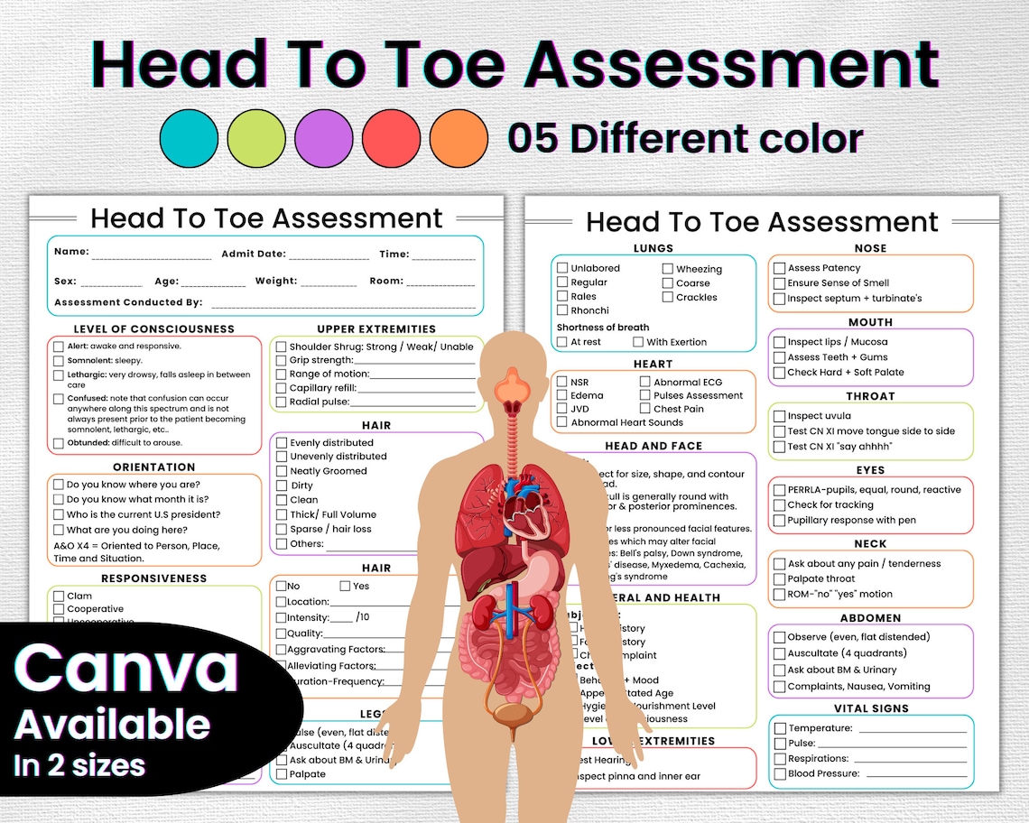 Skin Assessment, Head to Toe Assessment, Nursing Template, Nursing ...