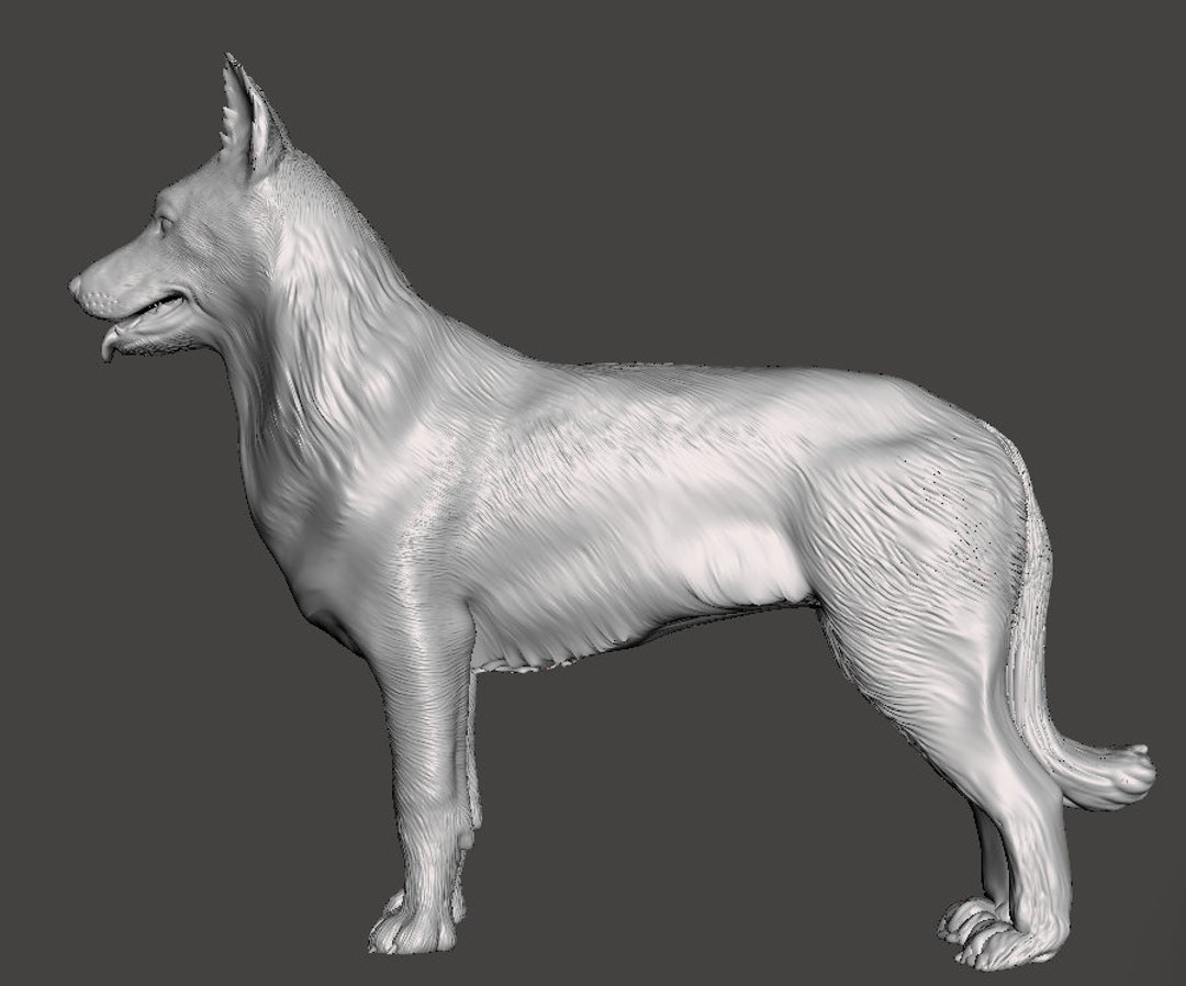 Beauceron 3D Printed Model Unpainted - Etsy Israel