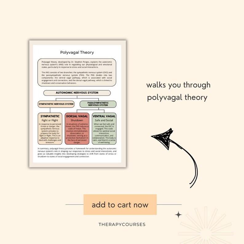 Polyvagal Theory Worksheets: Therapy Exercises & Tools, Activities ...