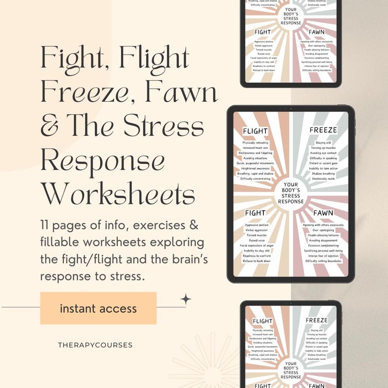 Fight, Flight, Freeze, Fawn & the Stress Response - How the Brain ...
