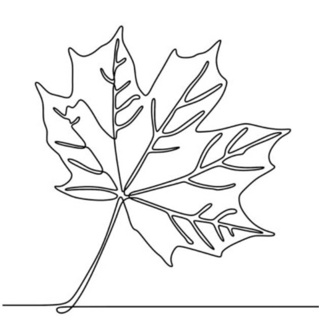 Continuous Line Drawing of Maple Leaves One Hand Drawn Line Art Design ...
