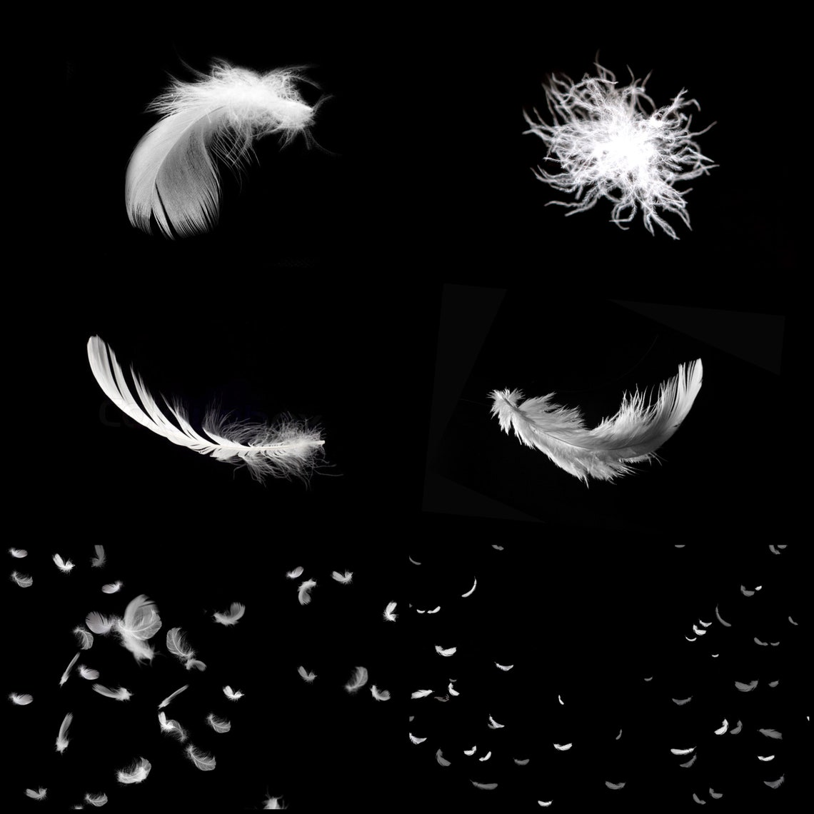 Feather Photoshop Overlays, Photo Overlays Package PS Texture ...