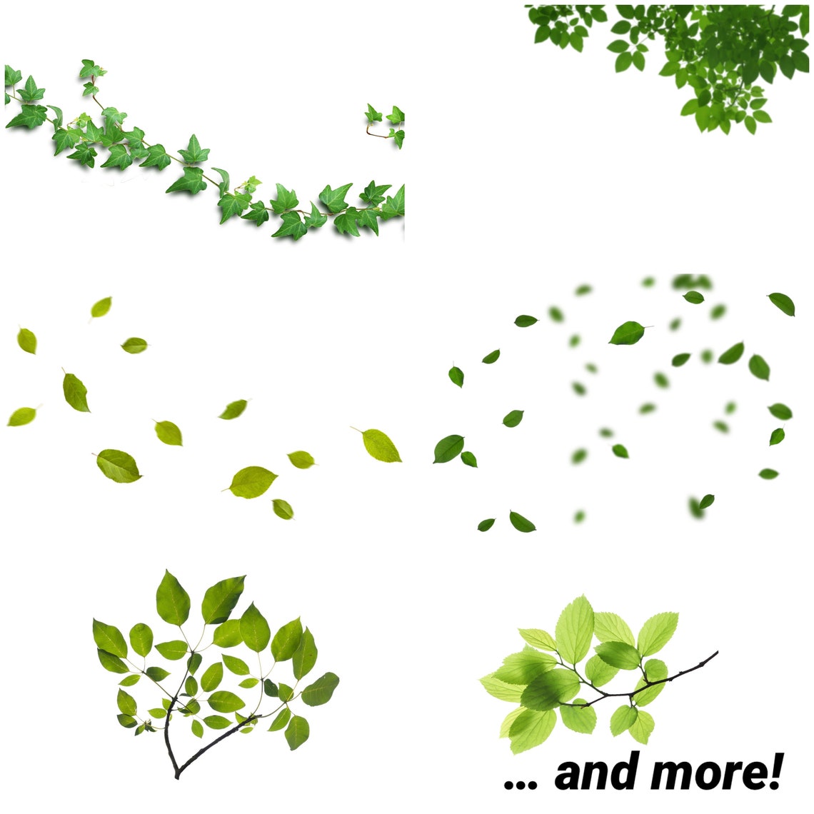 Photoshop Overlays, Leaves Branches Photo Overlays Package, Tree Plants ...